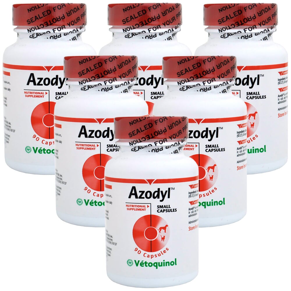 6-PACK Azodyl Small Caps (540 count)