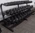 5-100 Lb. Dumbbell Sets w/Storage Rack - 2100 lbs Total